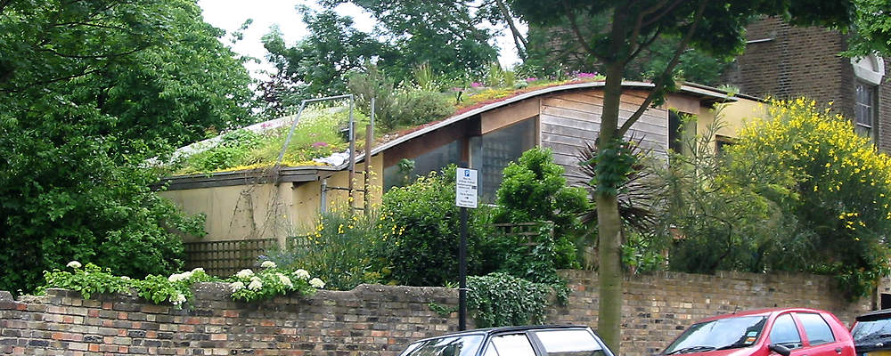 Mexican Hillside in London, David Matzdorf's green roof garden.