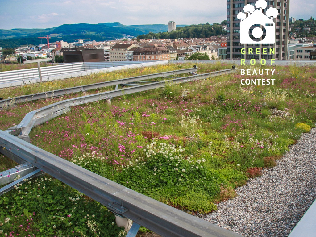 Nature based approach to green roofs - green roof beauty contest