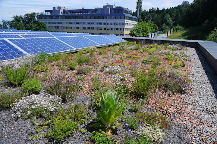A green roof solar boost - and a boost for nature too