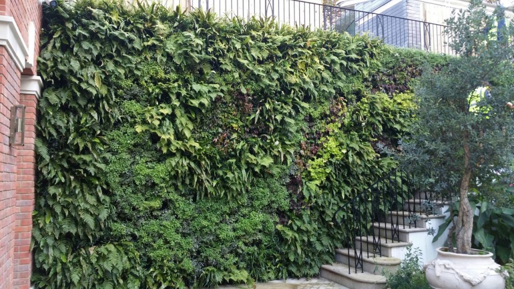 Scotscape - leading innovation in living and green walls in the UK